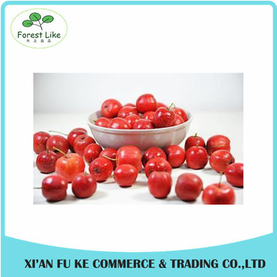 Natural Hawthorn Berry / Crataegus Fruit Powder supplier