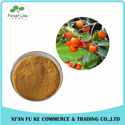 Natural Persimmon Leaf Extract Powder 10:1 20:1 supplier
