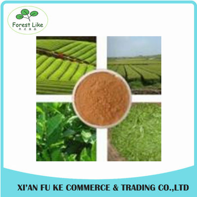 Natural Herbal Oolong Tea Extract Powder 10:1 20:1 supplier