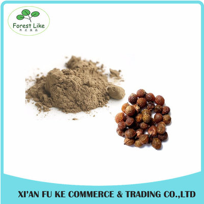 High Quality Reetha / Soapnut Extract Powder supplier