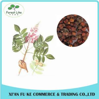 Gallnut Extract Gallic Acid Powder 99% supplier