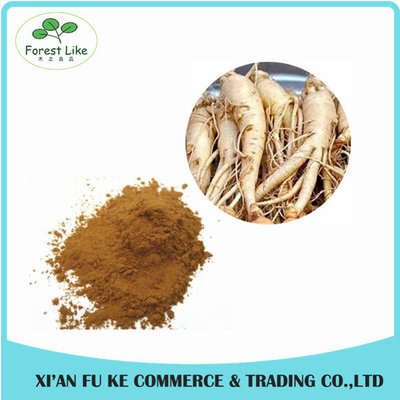 Panama Ginseng Extract Ginsenosides supplier