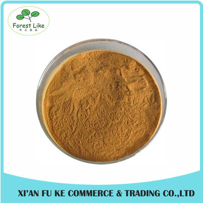 Panama Ginseng Extract Ginsenosides supplier