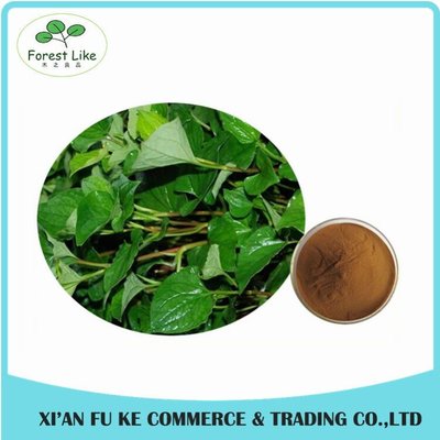 Natural Houttuynia Cordata Extract Powder 10 : 1 supplier