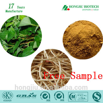 Natural Houttuynia Cordata Extract Powder 10 : 1 supplier