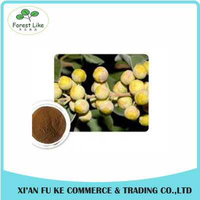 100% Natural Chaste Tree / Fructus Viticis Extract Powder supplier