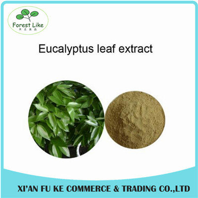 Pure Natural Eucalyptus Leaf Extract Powder 10:1 20:1 supplier