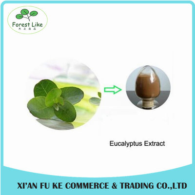 Pure Natural Eucalyptus Leaf Extract Powder 10:1 20:1 supplier