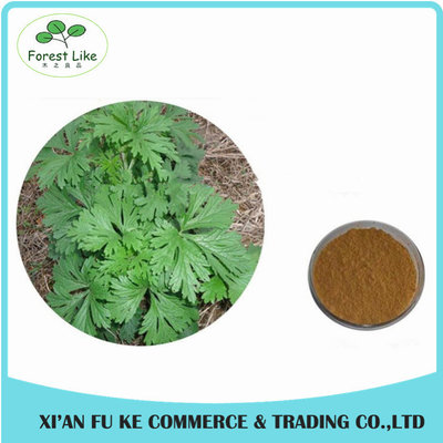 Chinese Herb Extract Mugwort Leaf Extract 5:1- 20:1 supplier