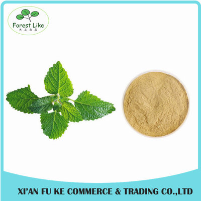 Peppermint / Mentha Haplocalyx Leaf Extract Menthol supplier