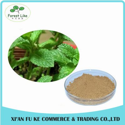 Peppermint / Mentha Haplocalyx Leaf Extract Menthol supplier