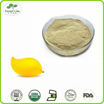 High Quality Fresh  organic mango fruit powder supplier