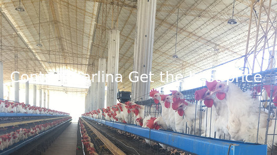 40MM Height wave UPVC High-Wave Trapezoid Roof Tile UPVC Spain the table of the wind FRP LIGHTING BOARD supplier