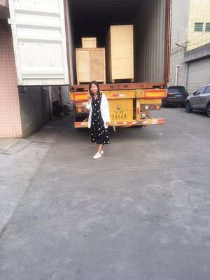 High Quality French Beans Packing Machine Soybeans Kidney Beans Packaging Machine