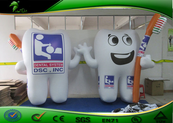 Customized Inflatable Advertising Products, Inflatable Tooth For Promotion