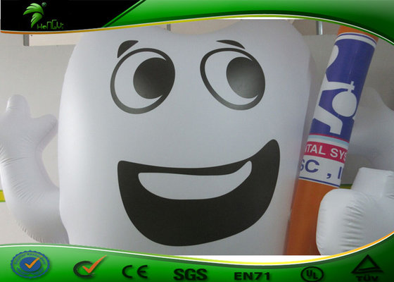 Customized Inflatable Advertising Products, Inflatable Tooth For Promotion