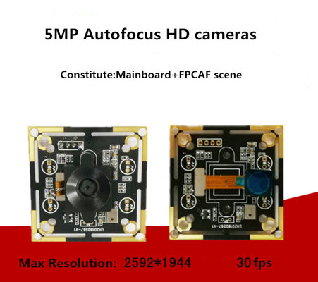 2019 hot sale usb oem multi web camera mega pixel