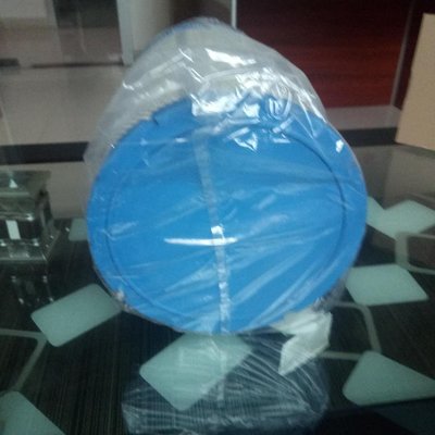 Automobile air filter P606506/AF25707 P609239/AF25732