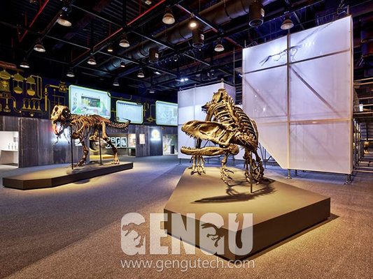Yangchuanosaurus Skeleton(#GG-1918) Apatosaurus Skeleton
