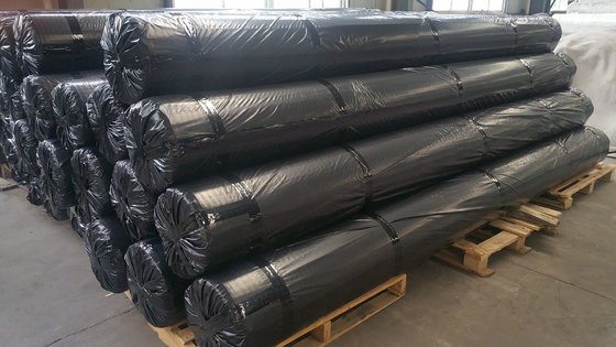 Black Color Woven Geotextile Geogrid Fabric For Retaining Walls / Driveways Construction
