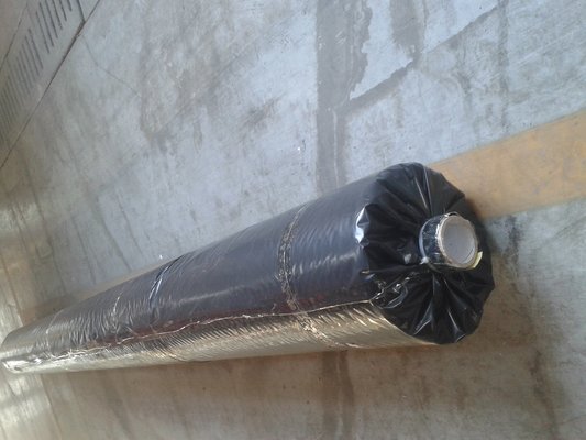 Black Color Polyethylene Retaining Wall Geogrid Fabric PVC Coating Heavy Duty