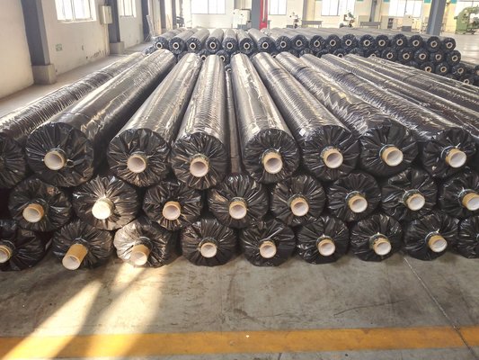 PP / Hdpe Uniaxial Retaining Wall Geogrid Reinforcement High Temperature Resistance
