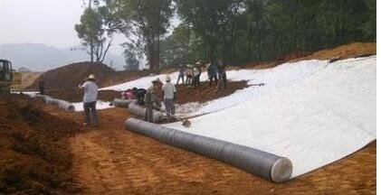 PP Woven / PET Geotextile Geosynthetic Bentonite Clay Pond Liner 4000-5000GSM