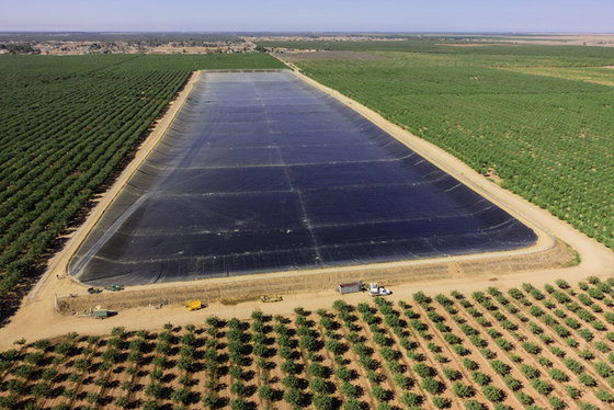Waterproof Polypropylene Geomembrane Pond Liner 30 X 30 High Temperature Resistance