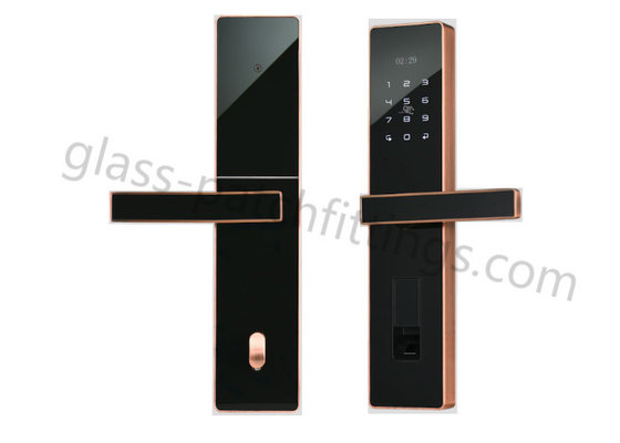 High Strength SS Fingerprint Door Lock DC 6V Power Supply Dynamic Current ≤200mA