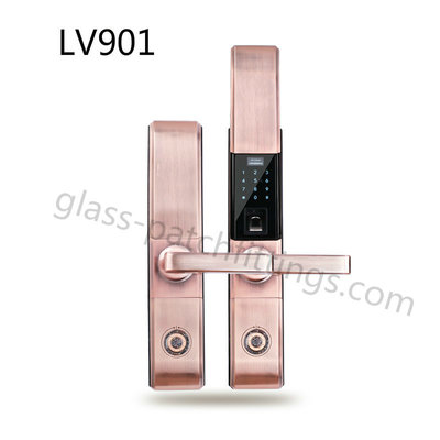Intelligent Fingerprint Keyless Entry Door Locks Remote Control Champagne Surface Finish