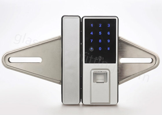 High Class SS304 Electric Door Lock With Remote , Smart Home Locks Multiple Unlock Mode