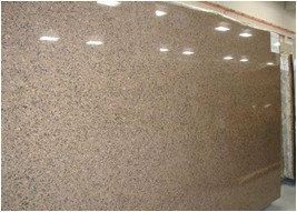 Custom Tropical Brown Granite Floor And Wall Tiles CE Certification