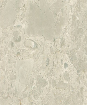 White Decorative Marble Slab Countertops Surface Polished Design