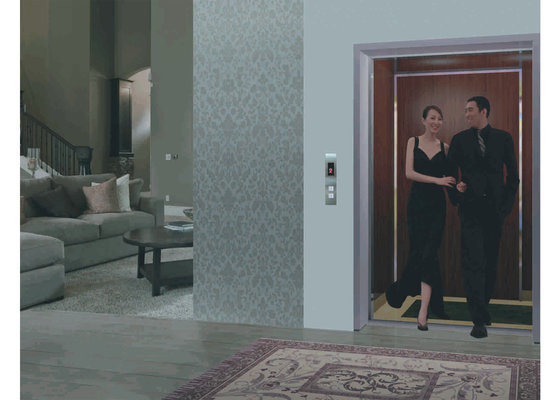 Safe Residential Elevators 400kg Capacity Center open Door OHSAS18001