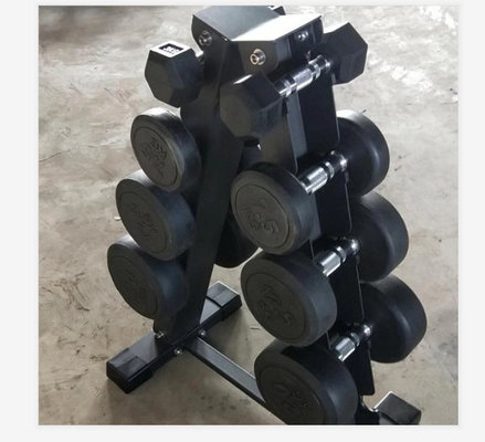 Dumbbell Storage Rack Gym Trainer Machine Custom Color Fitness Equipment