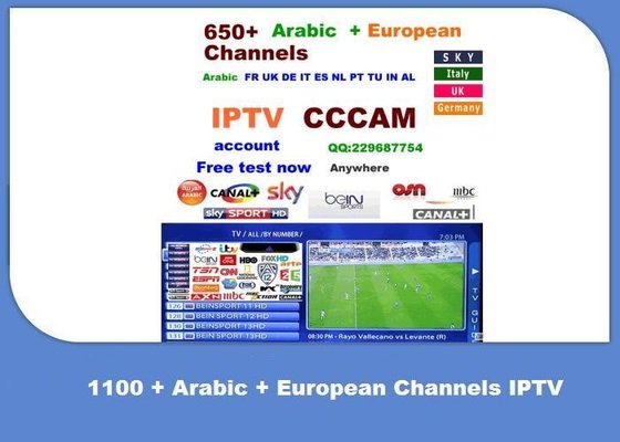 cheap  Smart Android IPTV APP With 650+ Arabic And European Channels