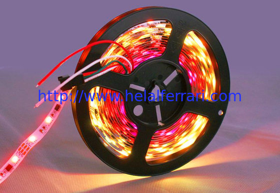 5050 IC RGB 5 Meter Flexible LED Strip Light Color Changing in IP68 For outdoor use supplier