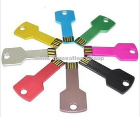 China Key Shape USB Flash Drive,key Memory Stick dp307 supplier