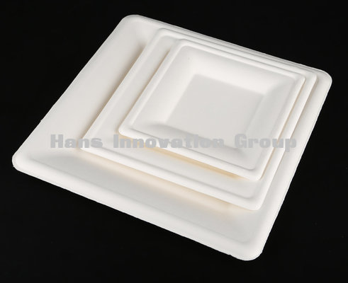 Hot-Selling Bagasse food container, biodegradable disposable food container, biodegradable food container supplier