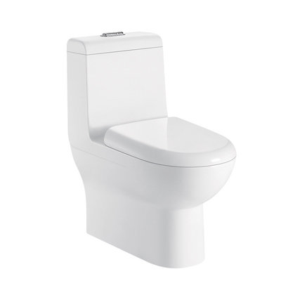 RZ-T6313 ONE PIECE TOILET