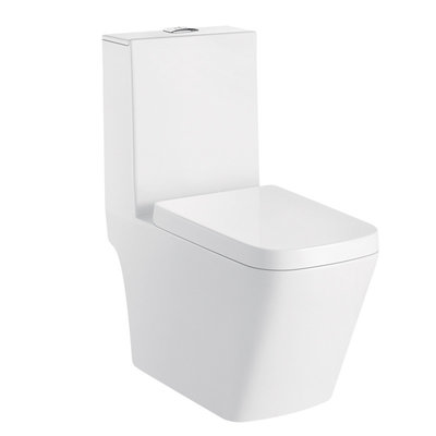 RZ-T6830 ONE PIECE TOILET
