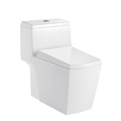 RZ-T6834 ONE PIECE TOILET