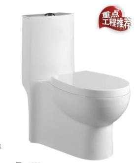 RZ-T6822 ONE PIECE TOILET 1 WAREWHOUSE
