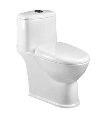 RZ-T6164 ONE PIECE TOILET 3 WAREWHOUSE