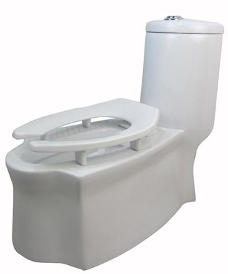 RZ-T6321 ONE PIECE TOILET 3 WAREWHOUSE