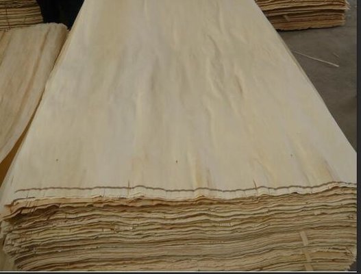 Baltic White Birch Natural Wood Veneer 2500*1270mm Size With Nice Surface