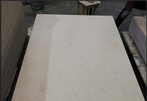18*1220*2440mm White Birch Plywood , Furniture Grade Plywood Eucalyptus Core