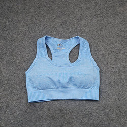 Explosive seamless breathable tight yoga set quick-drying bra fitness running gym wear sports women's pants trousers