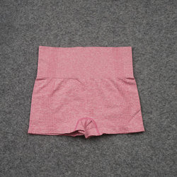 Explosive seamless breathable tight yoga set quick-drying bra fitness running gym wear sports women's pants trousers