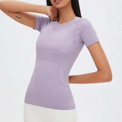 Hot sale Seamless Yoga Sports Top Basic women Activewear solid color running Breathable Fitness clothing tee shirts supplier